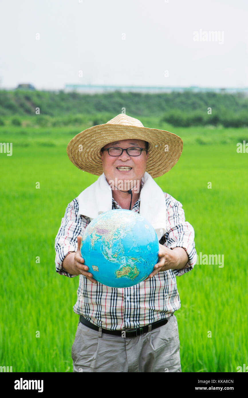diligent farmer's life, green rice plants background 287 Stock Photo ...