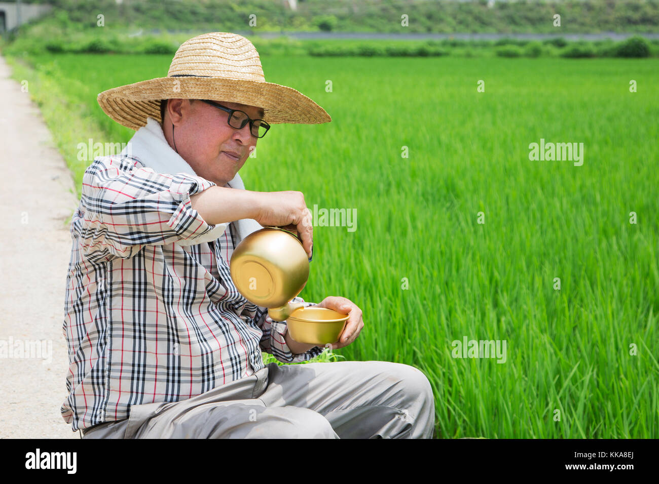 diligent farmer's life, green rice plants background 268 Stock Photo ...