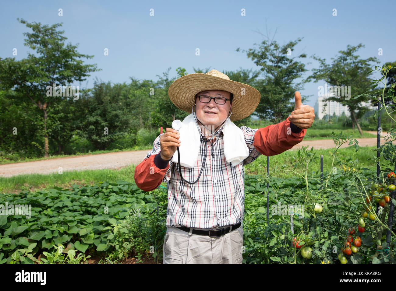 diligent farmer's life, green rice plants background 220 Stock Photo ...
