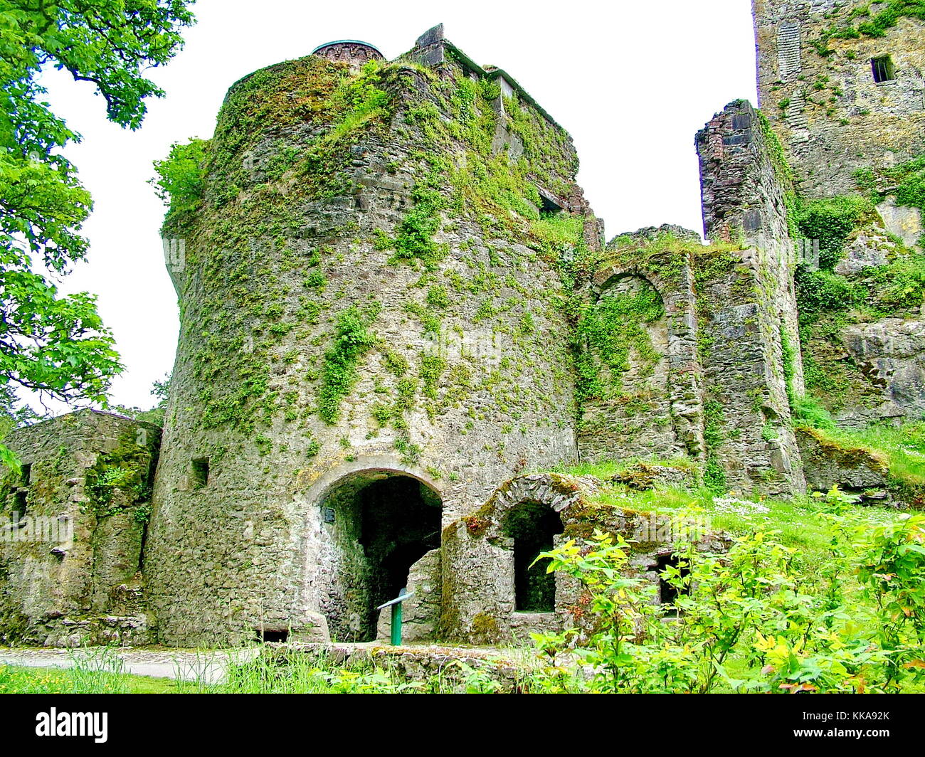 Blarney Castle near Cork, Ireland Stock Photo - Alamy