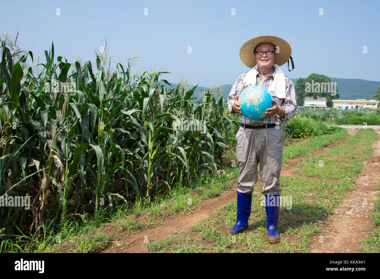diligent farmer's life, green rice plants background 005 Stock Photo ...