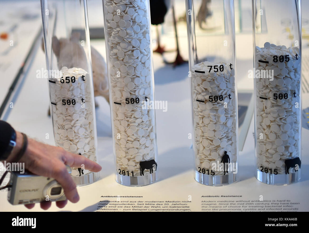 Berlin, Germany. 29th Nov, 2017. Biologist Dominique Krueger explains ...