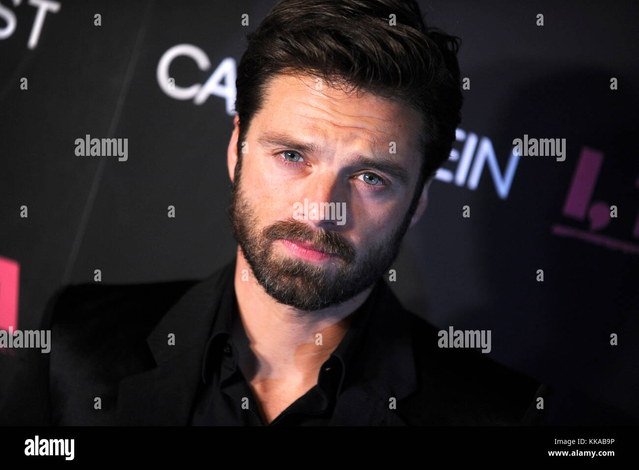 New York, USA. 28th Nov, 2017. Sebastian Stan attends the 'I, Tonya ...