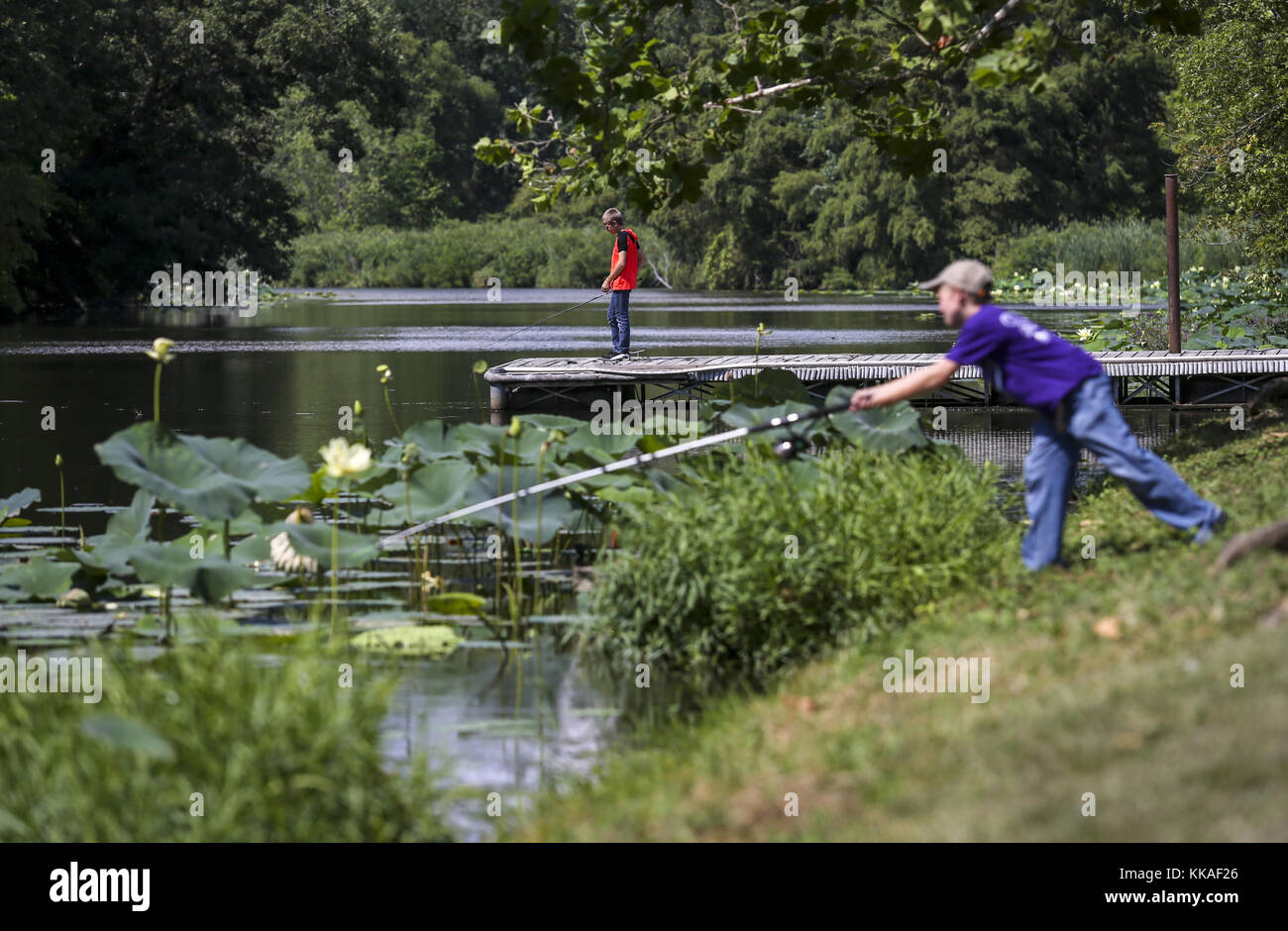 Hamilton, Iowa, USA. 3rd Aug, 2017. Marshall Case, 12, of Hamilton ...