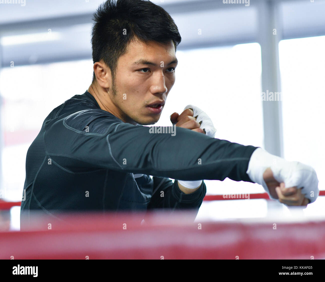 Tokyo, Japan. 28th Nov, 2017. Ryota Murata (JPN) Boxing : WBA ...