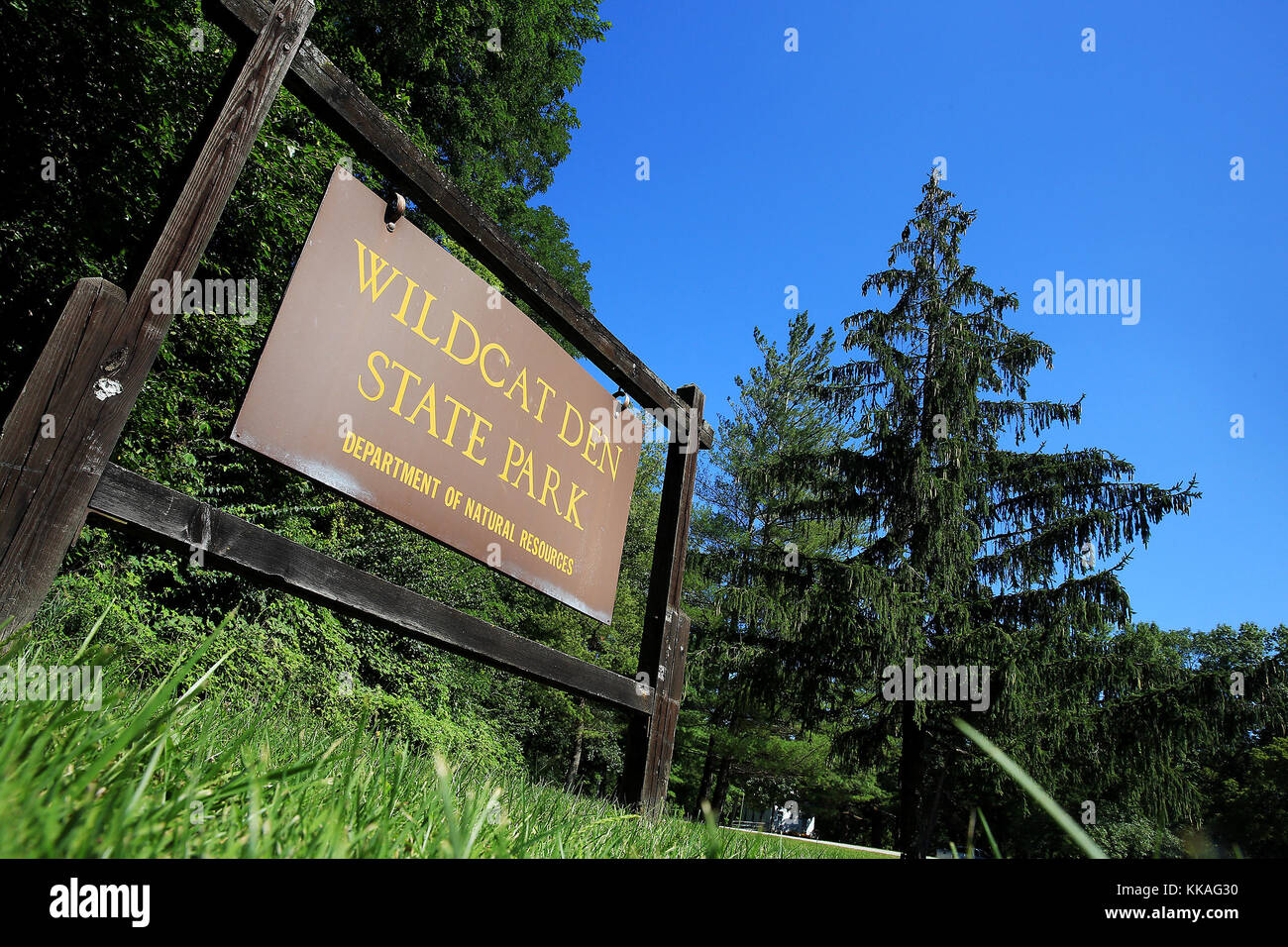 Wildcat den state park hi-res stock photography and images - Alamy