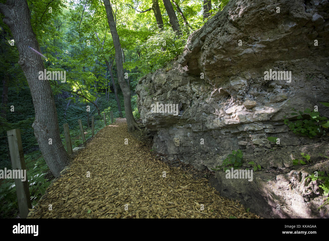 June 7, 2017 - Harper'S Ferry, Iowa, U.S. - The main hiking trail down ...