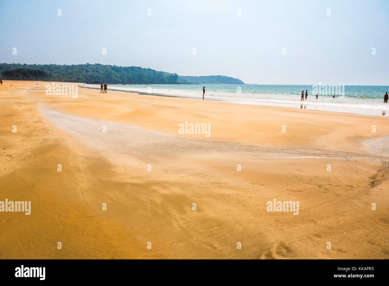 Galgibag Beach, South Goa, India, Asia Stock Photo - Alamy