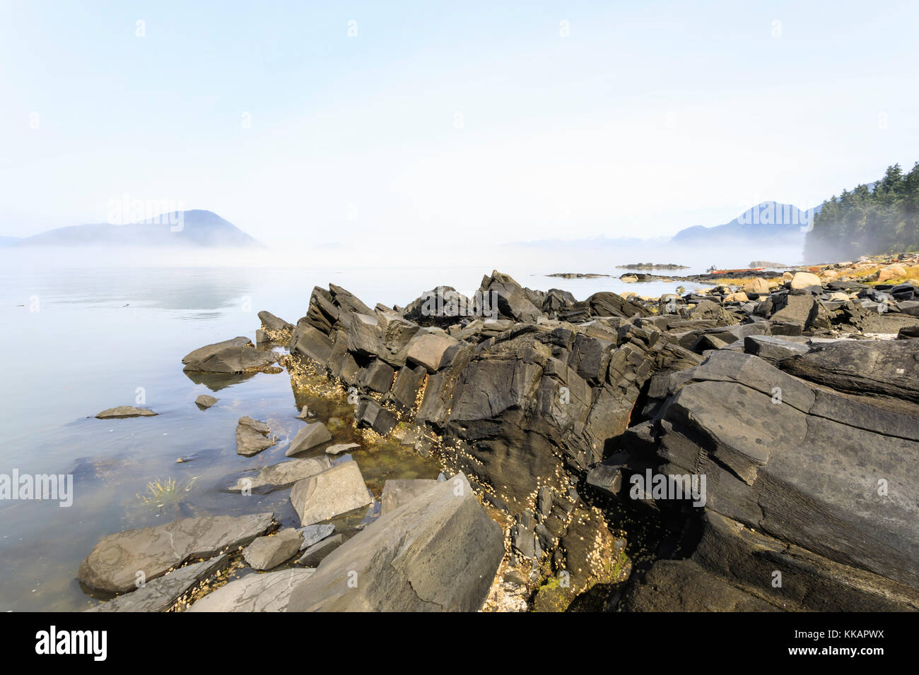 Mist clears from beautiful Petroglyph Beach, State Historic Park ...