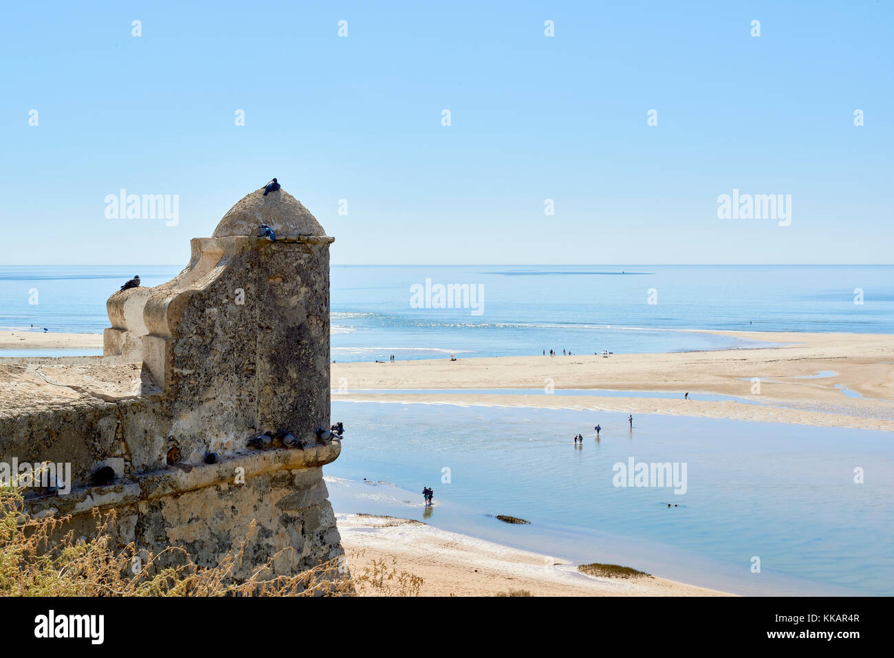 Beachgoers in background hi-res stock photography and images - Alamy