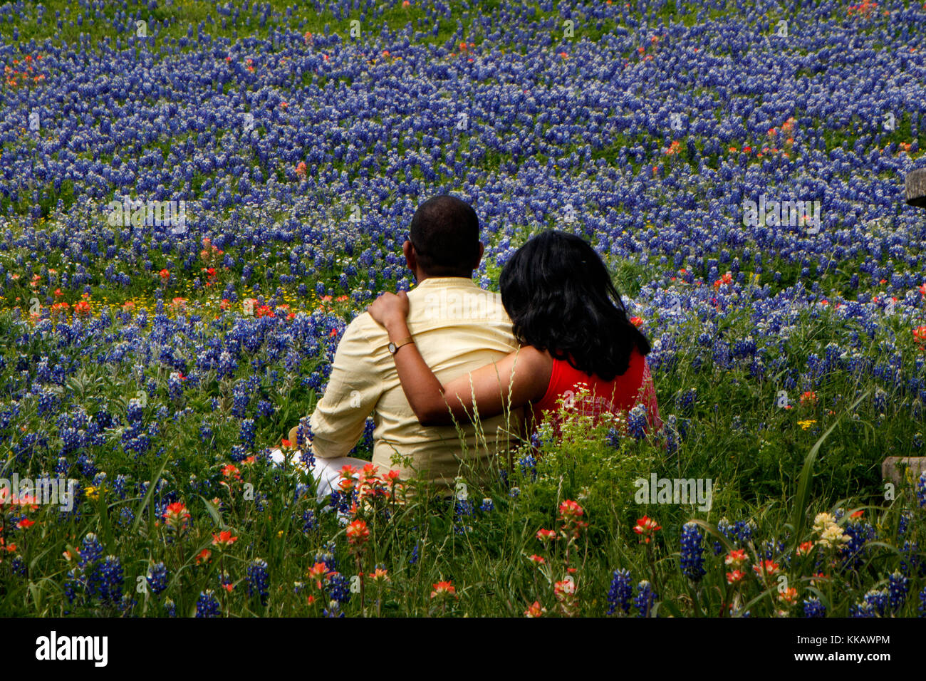 African American, Castilleja, Ennis, Lake Bardwell, Lupinus texensis ...