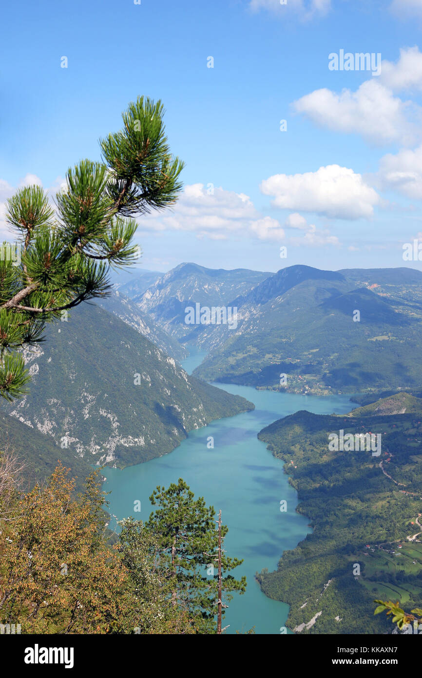 Banjska stena Tara mountain viewpoint Stock Photo - Alamy