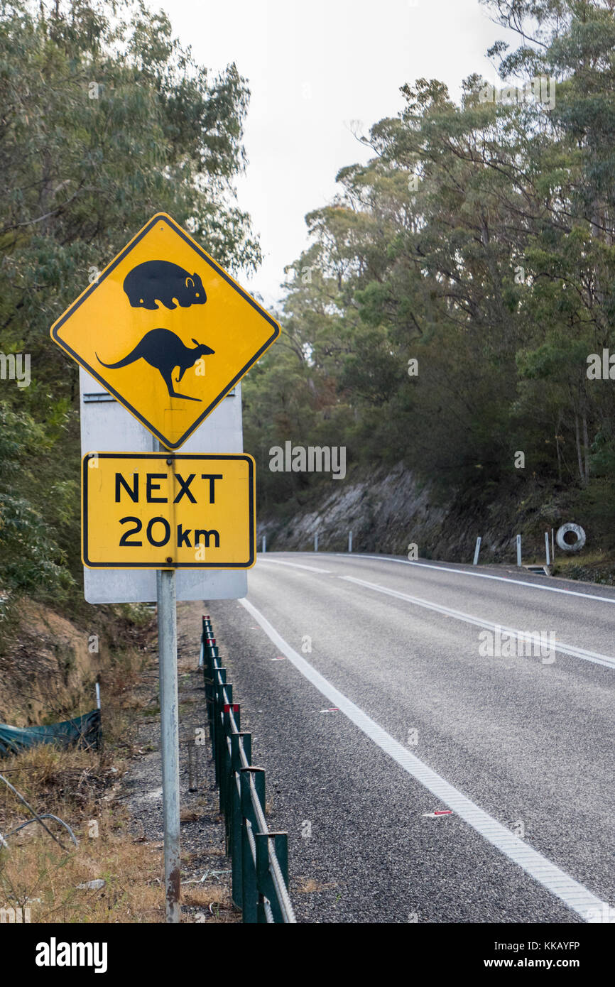 Wombat warning sign hi-res stock photography and images - Alamy