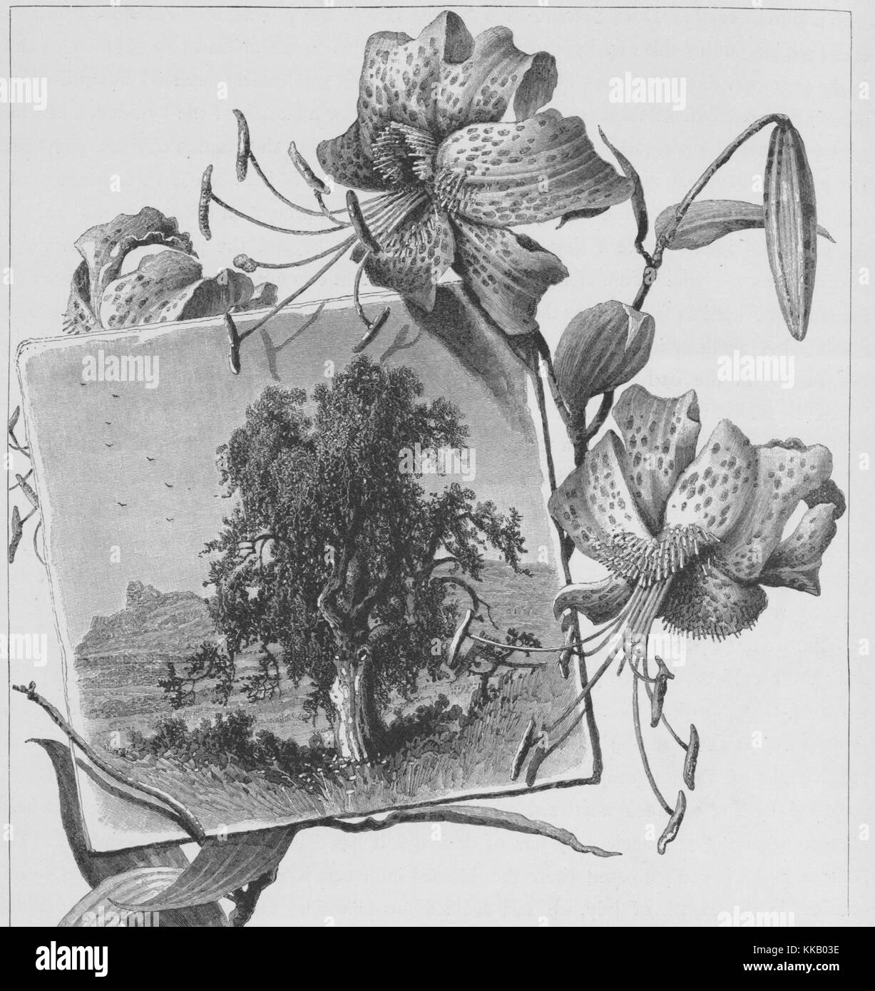 Large mound Black and White Stock Photos & Images - Alamy