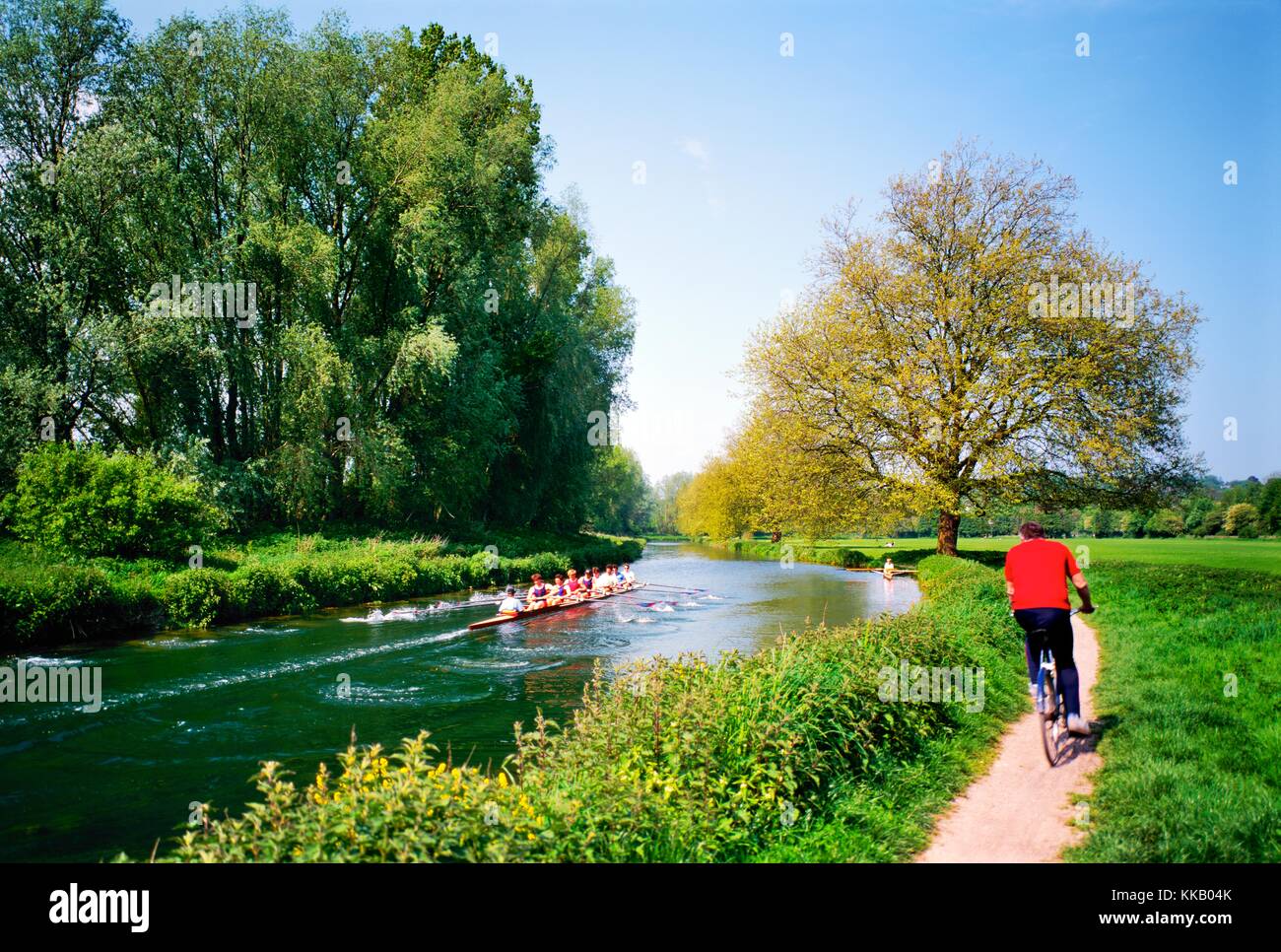 8 rowing shell hi-res stock photography and images - Alamy