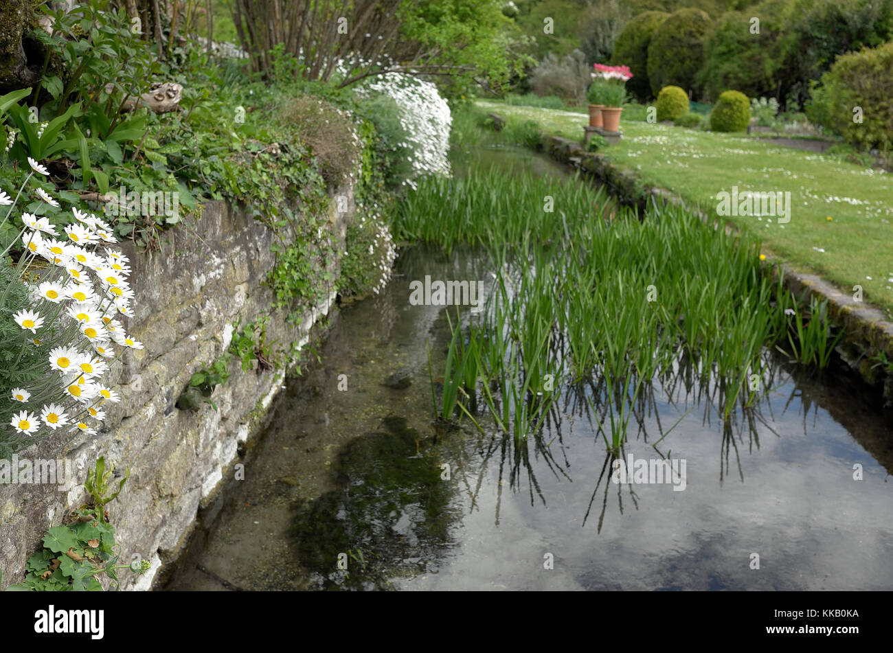 Chalk stream running through Littlebredy walled gardens Stock Photo - Alamy