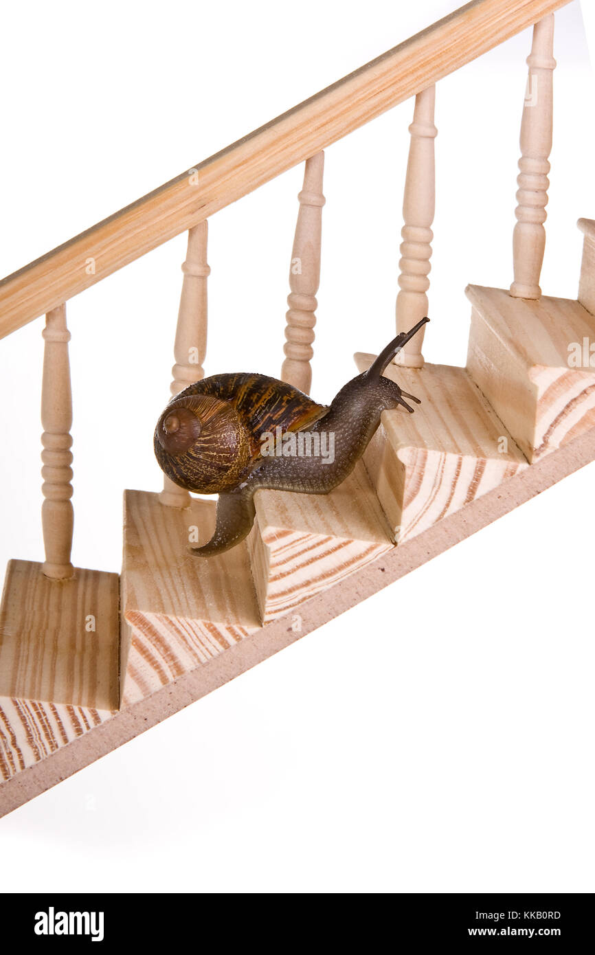 Patience make steps to success hi-res stock photography and images - Alamy