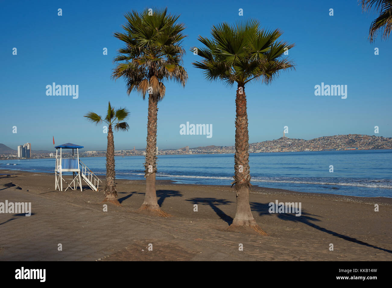 La serena chile beach hi-res stock photography and images - Alamy