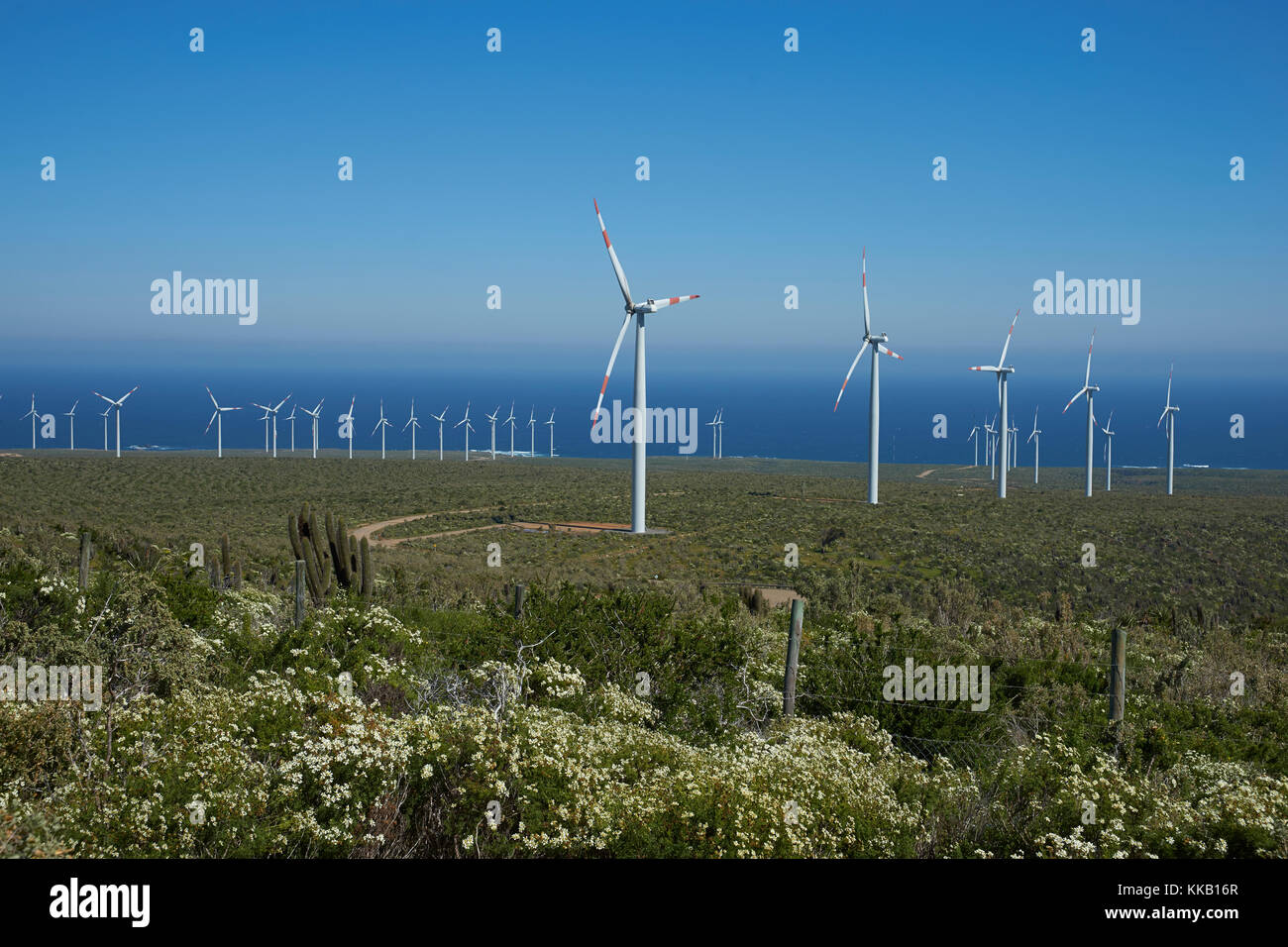 Wind farm on the coast of Chile along the Pan American Highway Stock ...