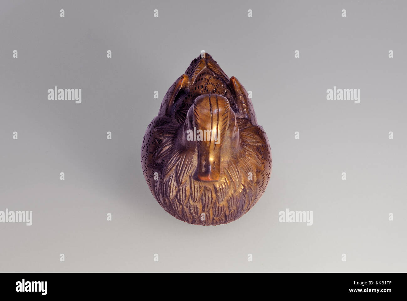 Japanese duck hi-res stock photography and images - Alamy