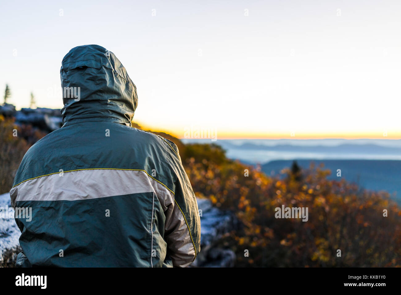 Standing Young Man In Green Coat Jacket With Hood On Windy Cold Autumn