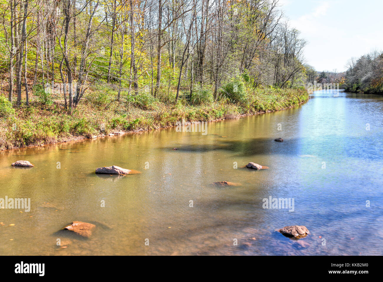 Virginia williams hi-res stock photography and images - Alamy
