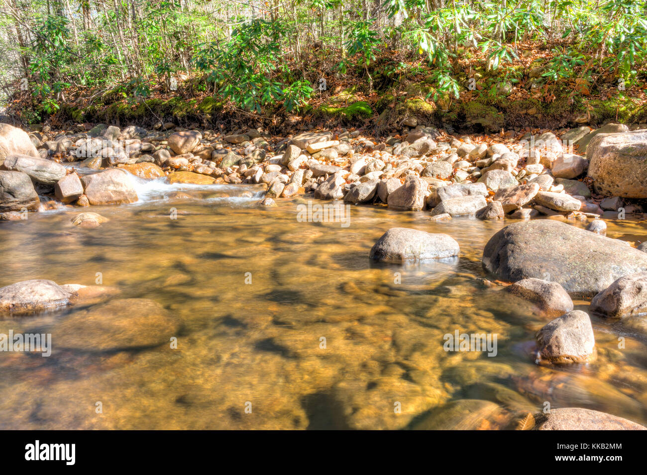 Closeup of shallow rock stream with running water and waterfall in ...