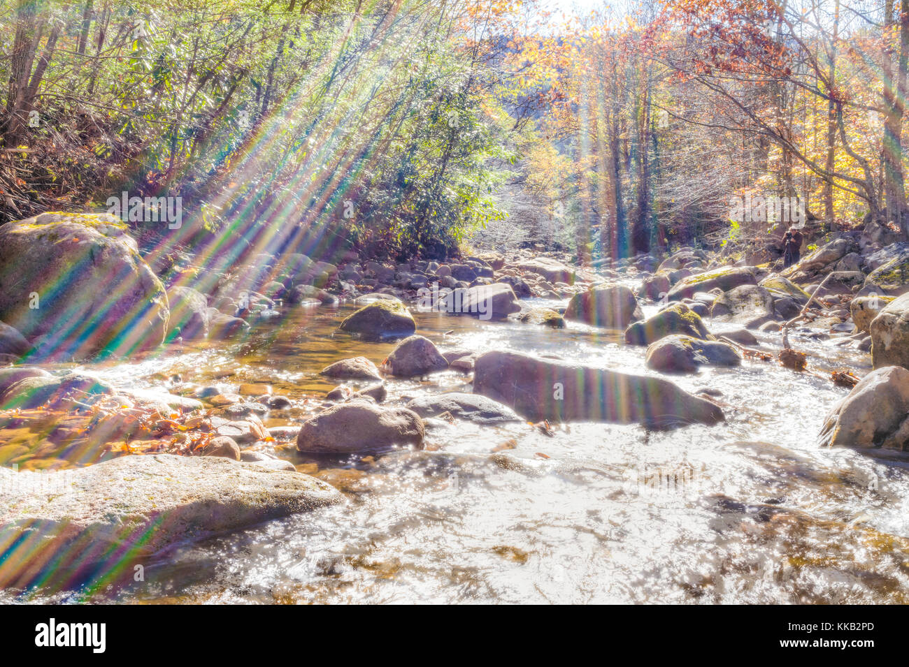 Closeup of shallow rock stream with running water, stones and smooth ...