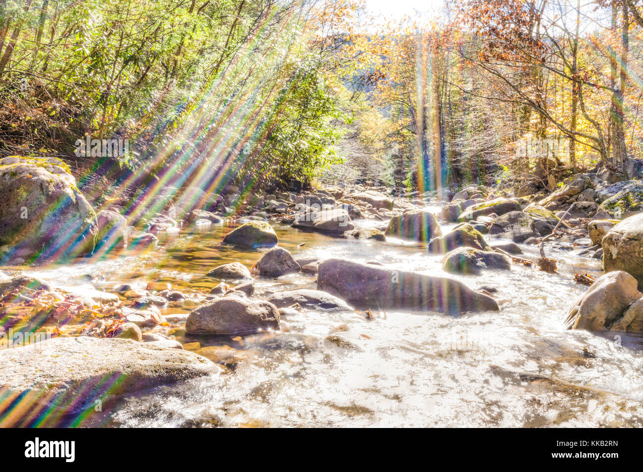 Closeup of shallow rock stream with running water, stones and smooth ...