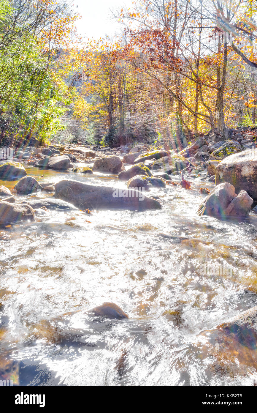Closeup of shallow rock stream with running water, stones and smooth ...