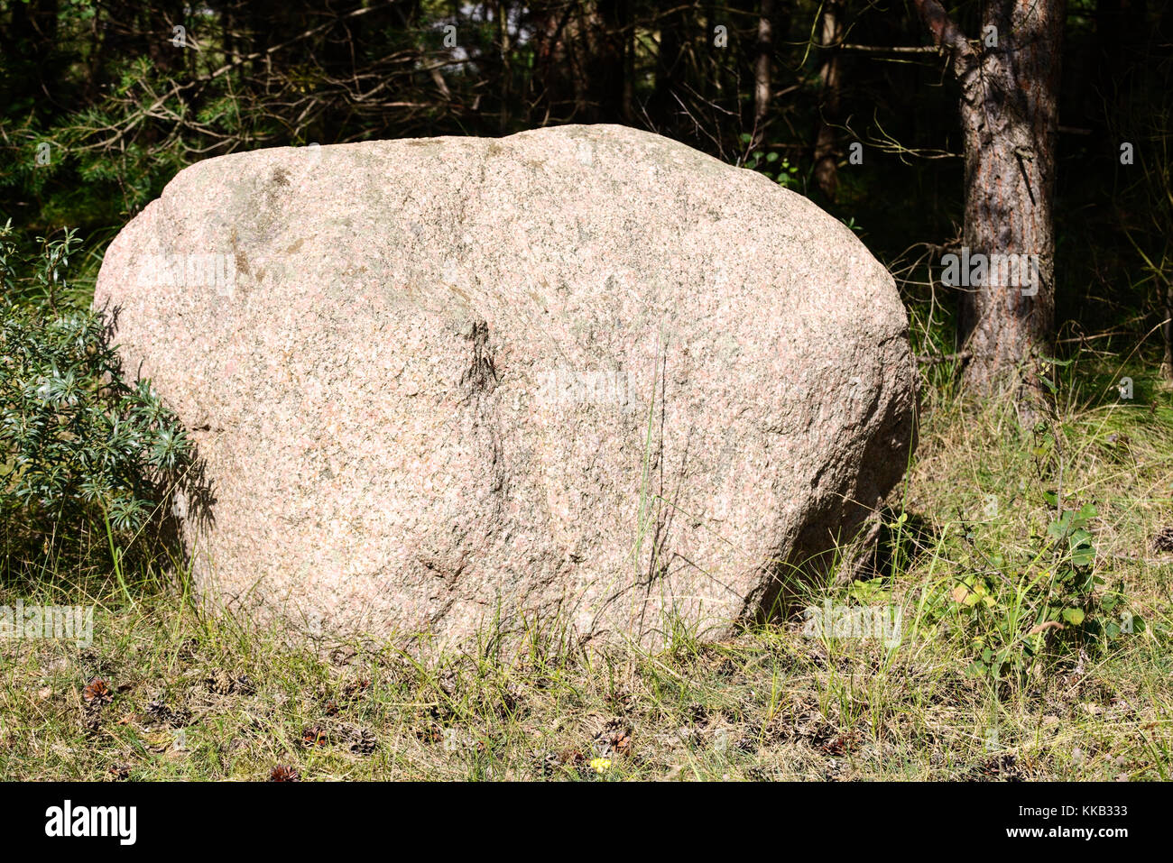 Erratic block near Lubmin, Mecklenburg-Vorpommern, Germany Stock Photo ...