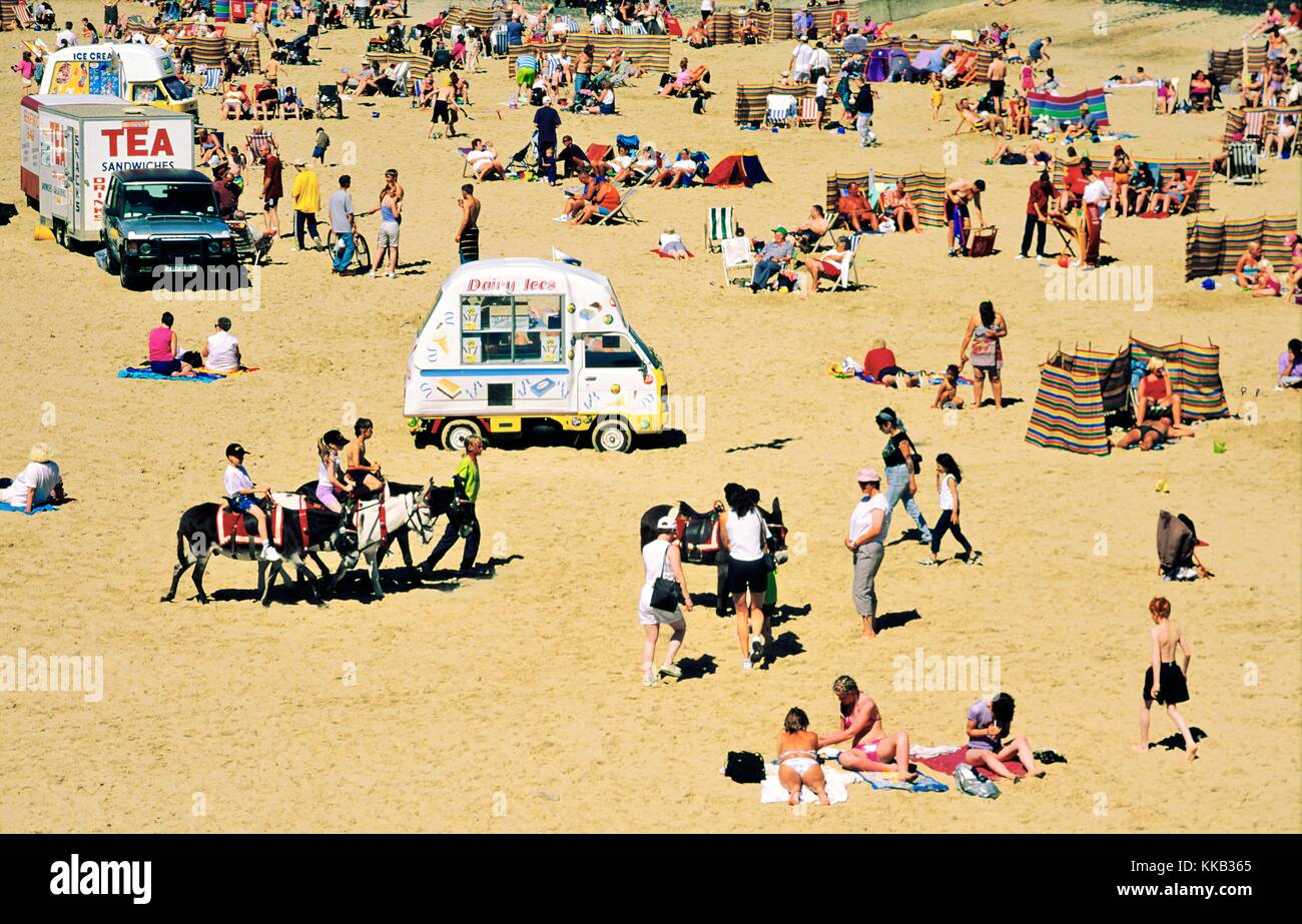 Donkey ice hi-res stock photography and images - Alamy