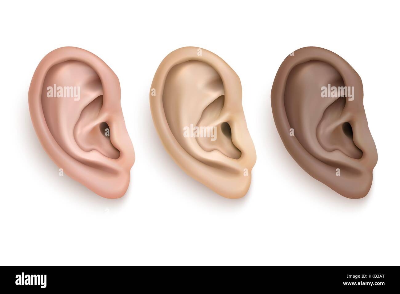 Vector realistic human ear iocn set closeup isolated on white ...