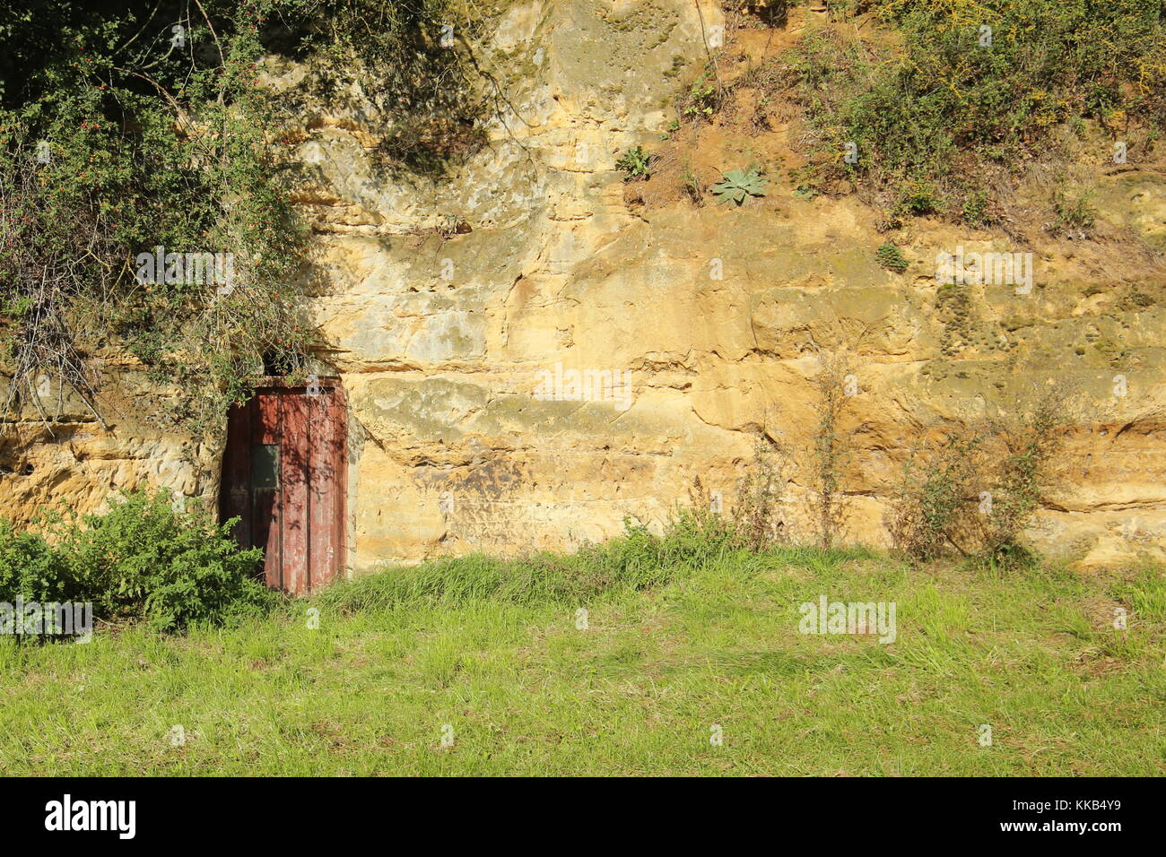 Dogger stone cliff near Niederhofen, Upper Palatinate, Germany Stock ...