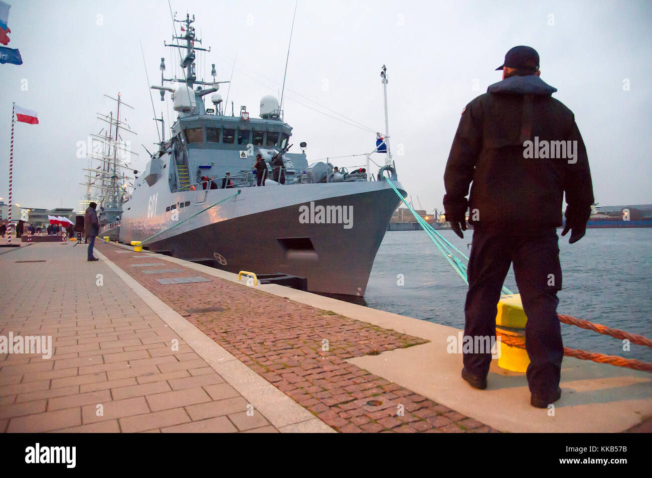 Orp kormoran hi-res stock photography and images - Alamy