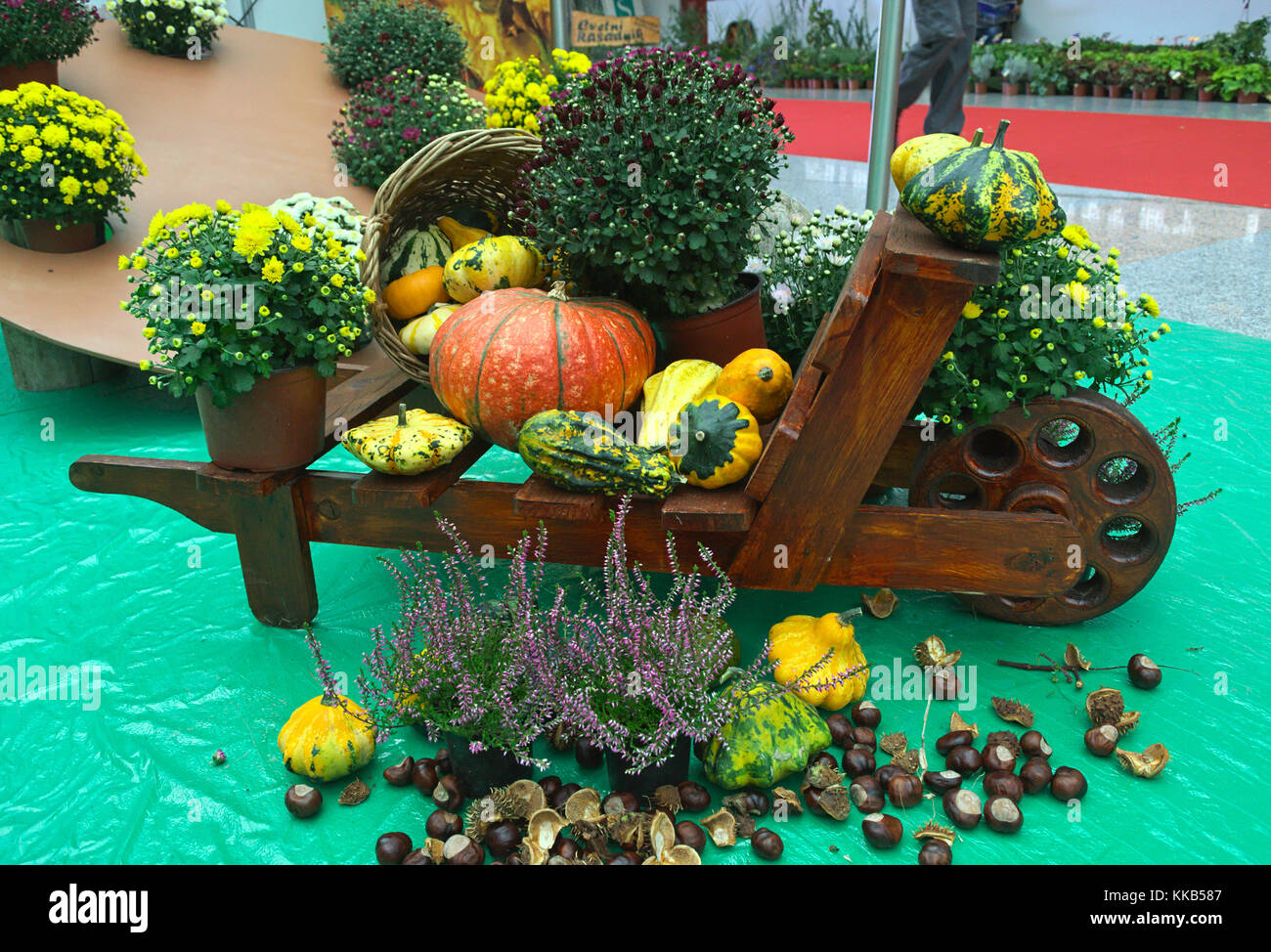 Autumn decorations made out of plastic Stock Photo - Alamy
