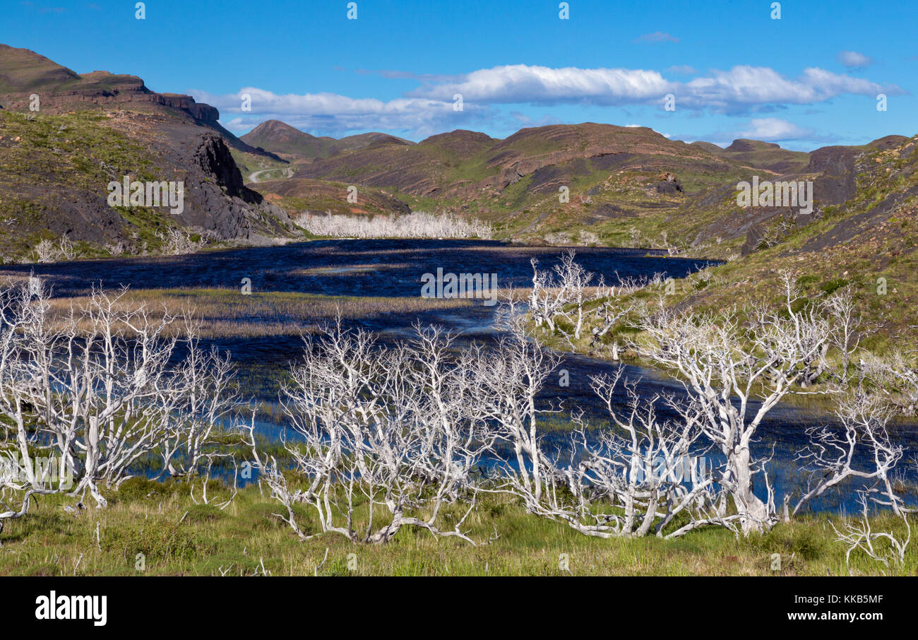 Torres Del Paine Horns and towers. Magallanes, Chile Stock Photo - Alamy