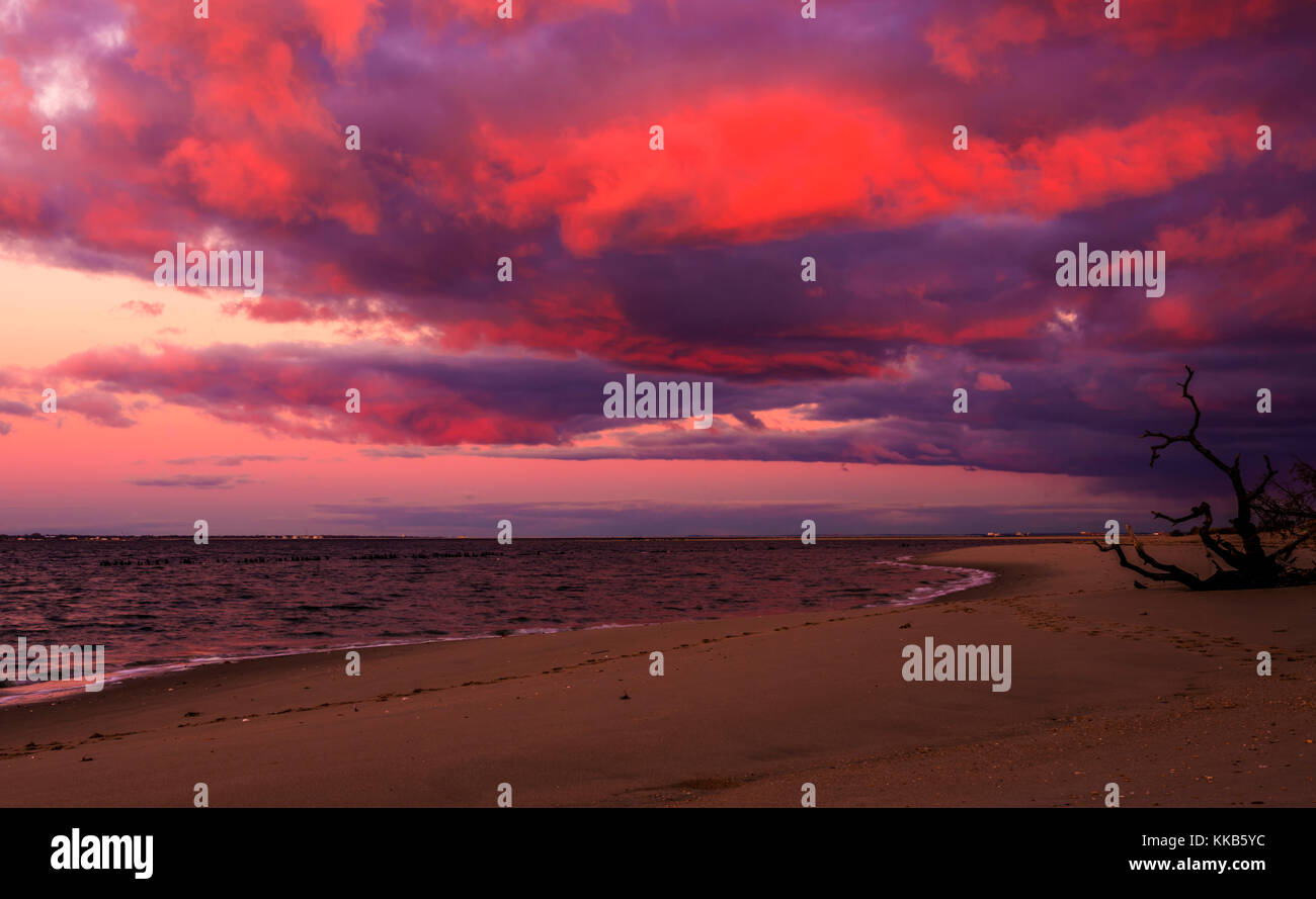 Beautiful Red Scenery