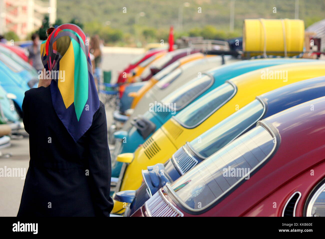 Old beetle hi-res stock photography and images - Alamy