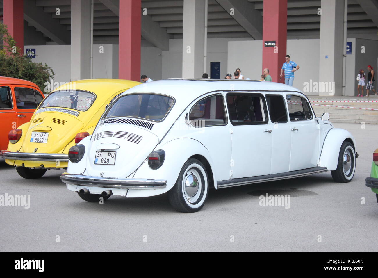 Old beetle hi-res stock photography and images - Alamy