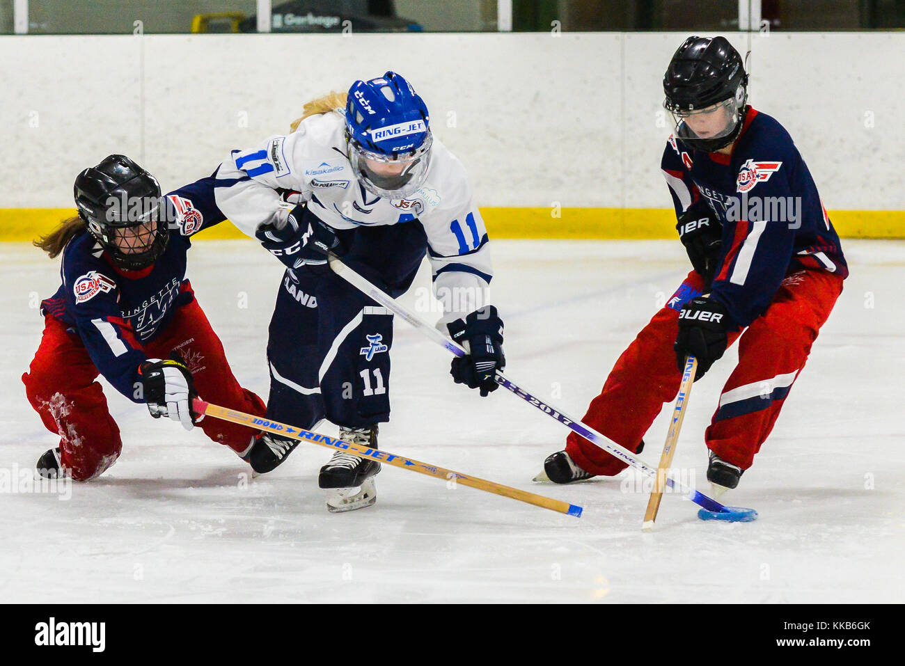 November 28, 2017 - Mississauga, ON, Canada. Players on the ice during ...