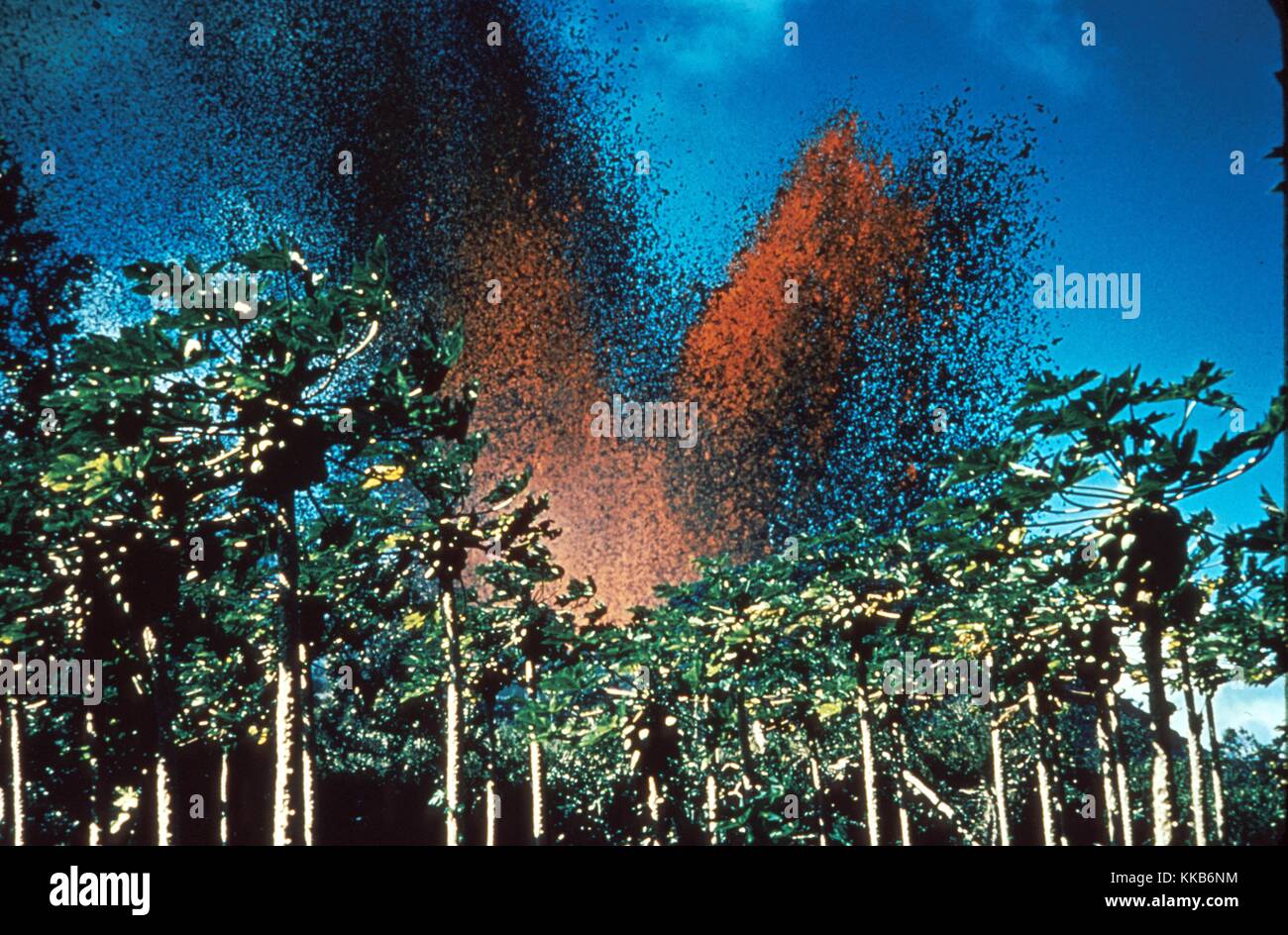 A lava fountain rising high in to the air during an eruption of Kilauea ...