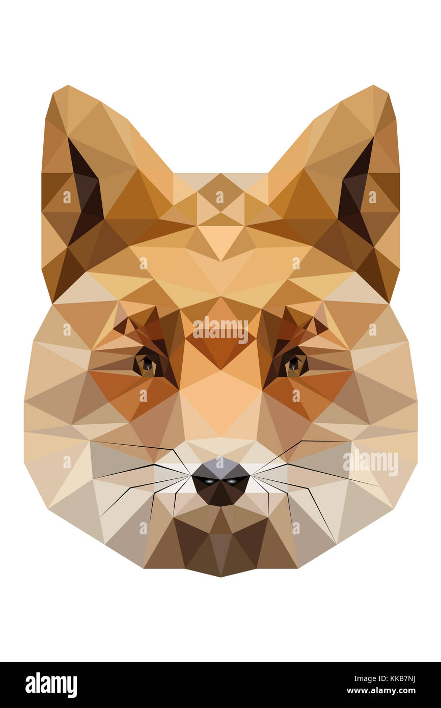 Polygon fox face hi-res stock photography and images - Alamy
