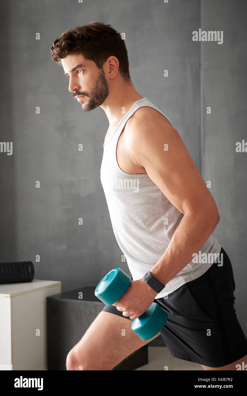 Shot of a young sporty man working out with weights in the gym Stock ...