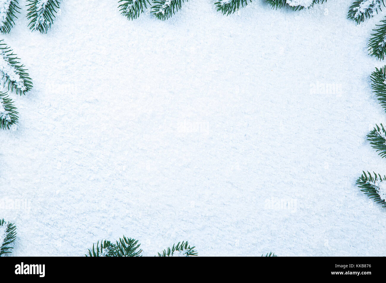 Christmas fir tree frame on white snow background. Free space Stock ...
