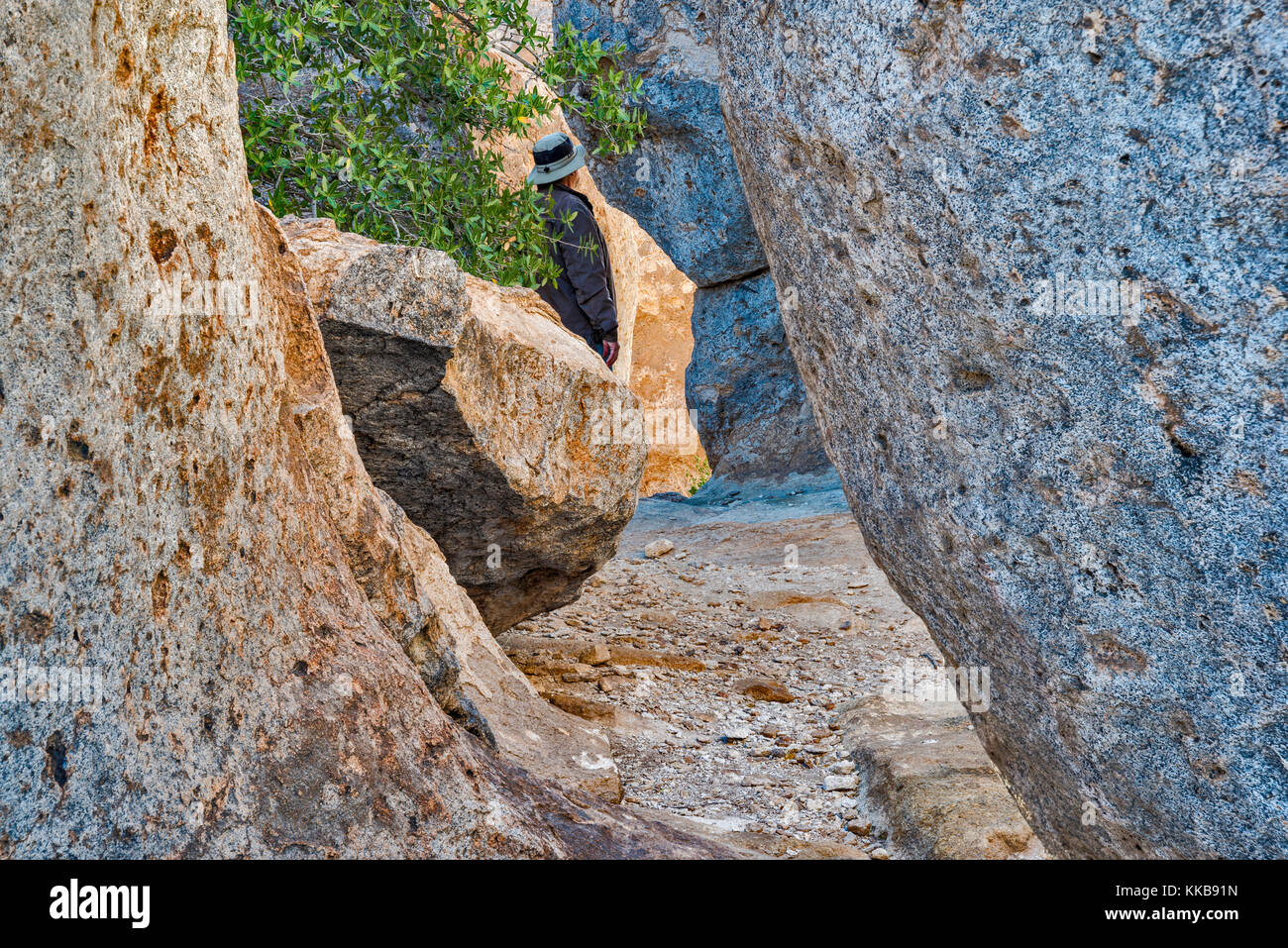 Getting to mexico city hi-res stock photography and images - Alamy