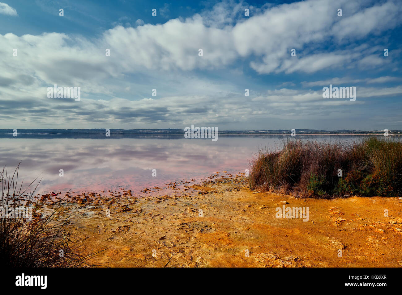 Picturesque view of Las Salinas. Salt lake of Torrevieja, declared one ...
