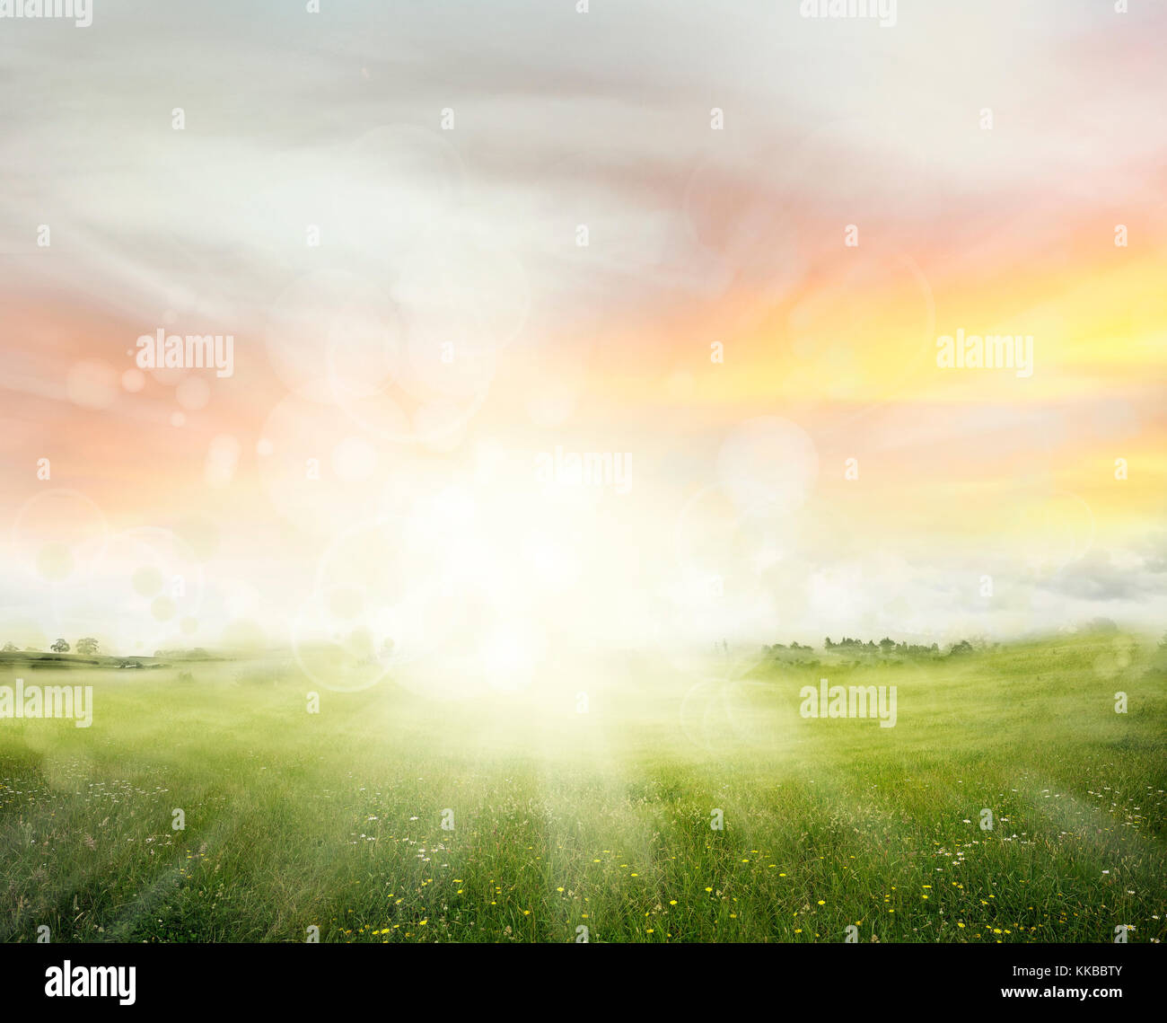 Spring grass and bright sunny sky Stock Photo - Alamy