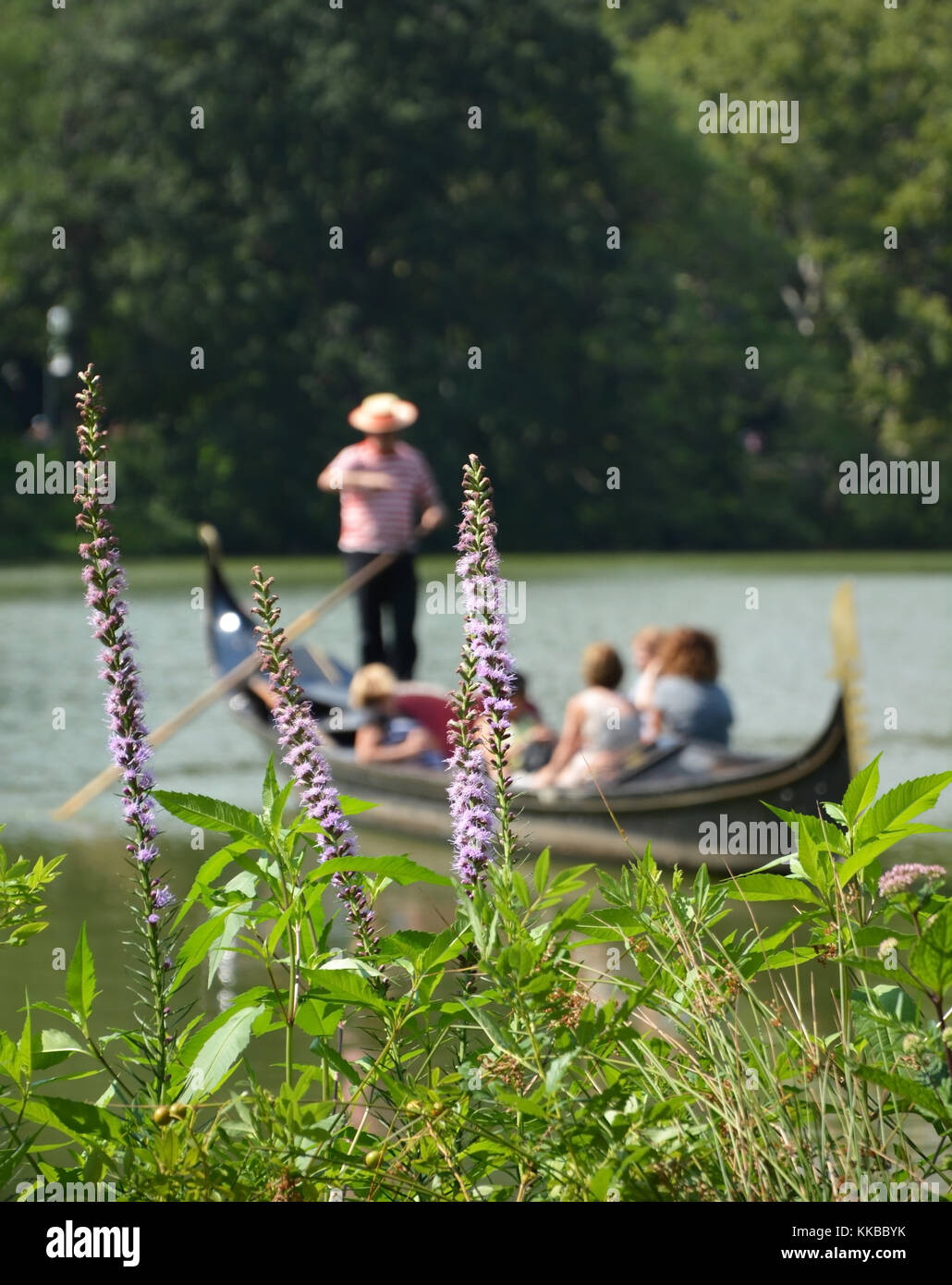 Flowers in Central park lake shore, NYC Stock Photo - Alamy
