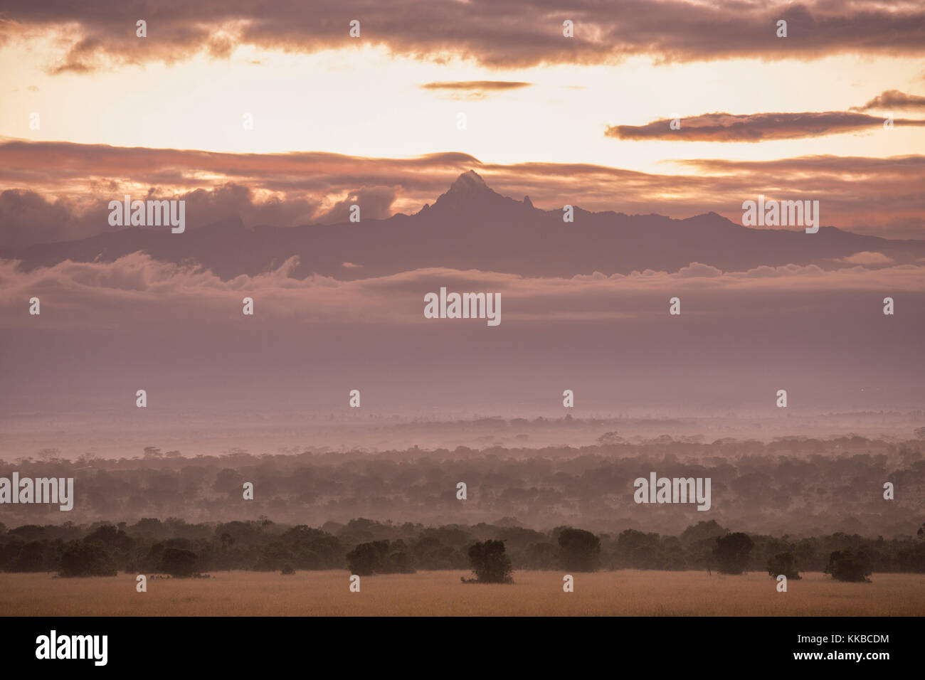 view of Mount Kenya, soft foreground clouds and mist, sunrise from a ...